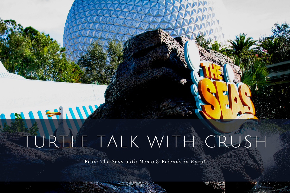 Memory 150 – A Day at Epcot 2: Part 1, Entering and Turtle Talk With ...