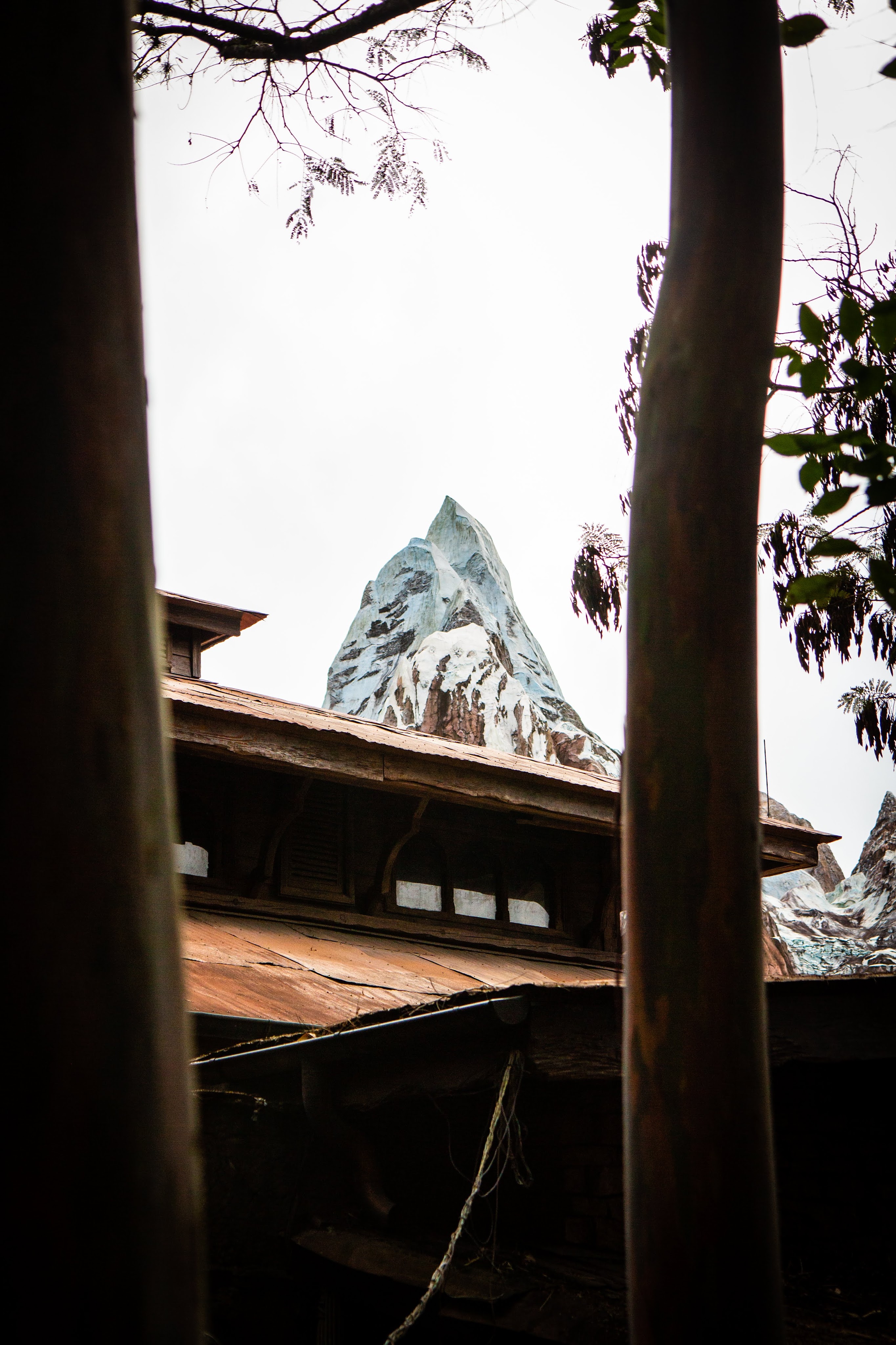 Memory 304 – Reliving an Expedition Everest – Legend of the Forbidden ...